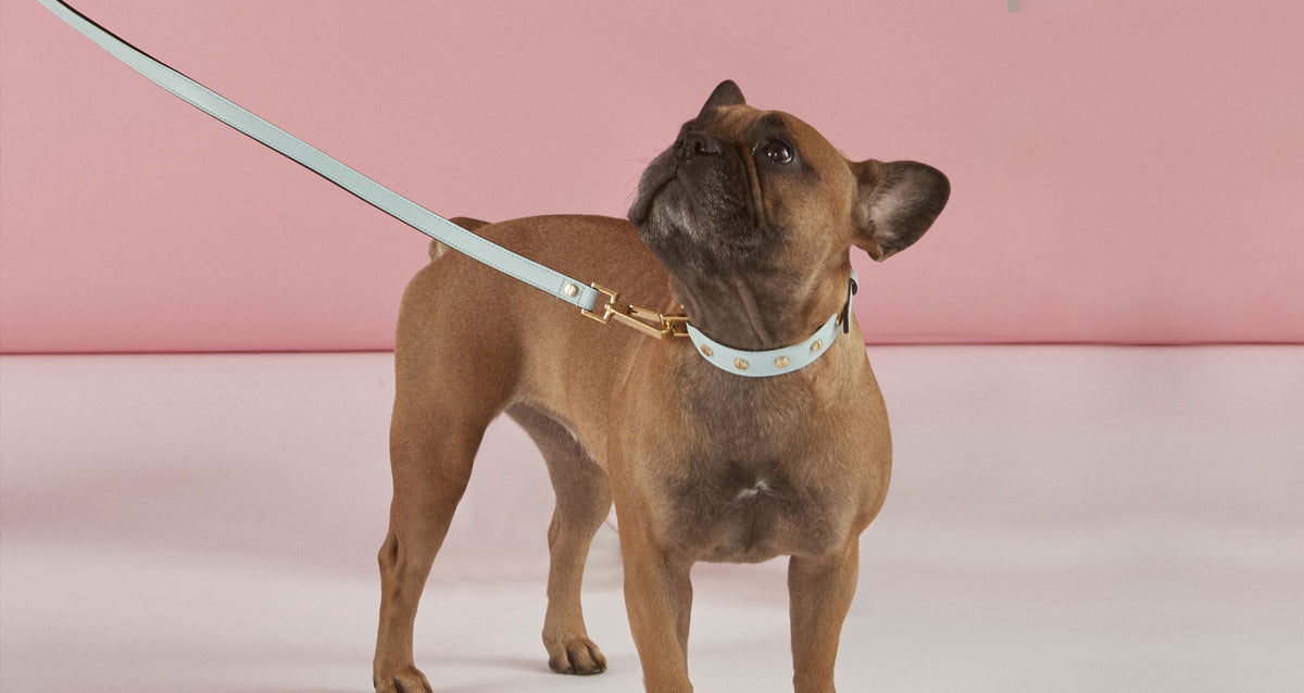 FRIDA Firenze® – Frida Firenze