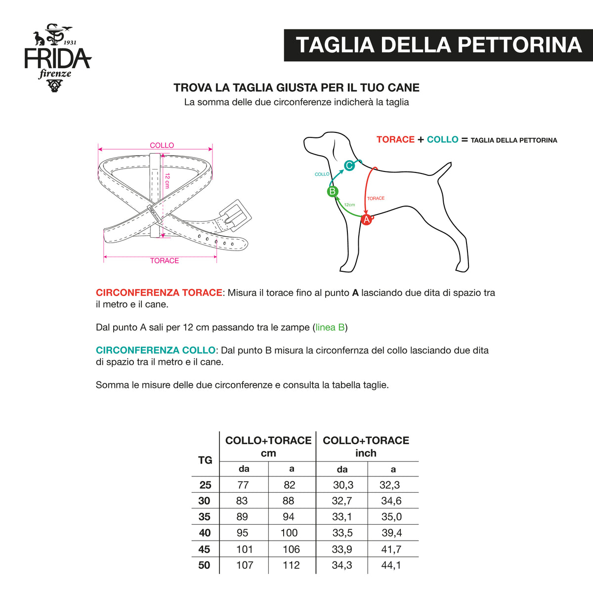 Pettorina Stud Screw Brown – Frida Firenze