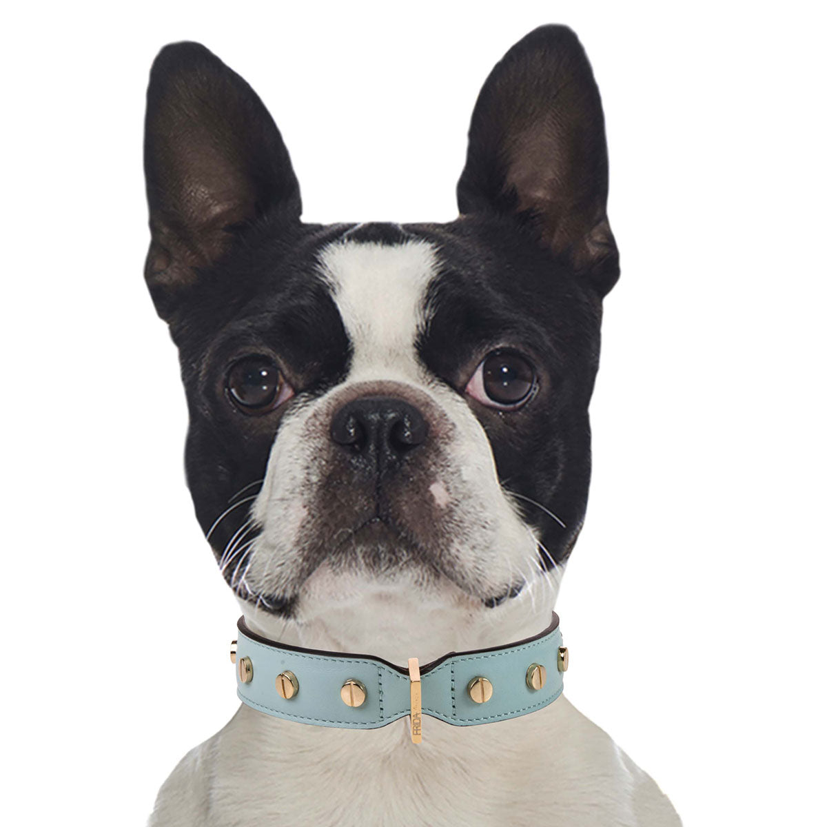 Collare Stud Screw Cloud – Frida Firenze